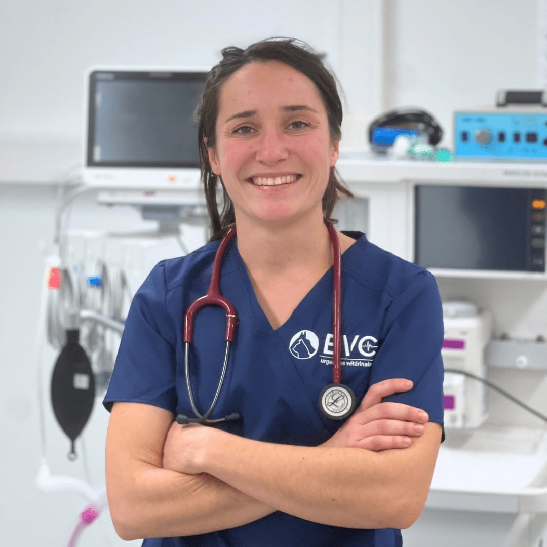 Urgence vétérinaire - Garde vétérinaire Nyon, Morges et Lausanne